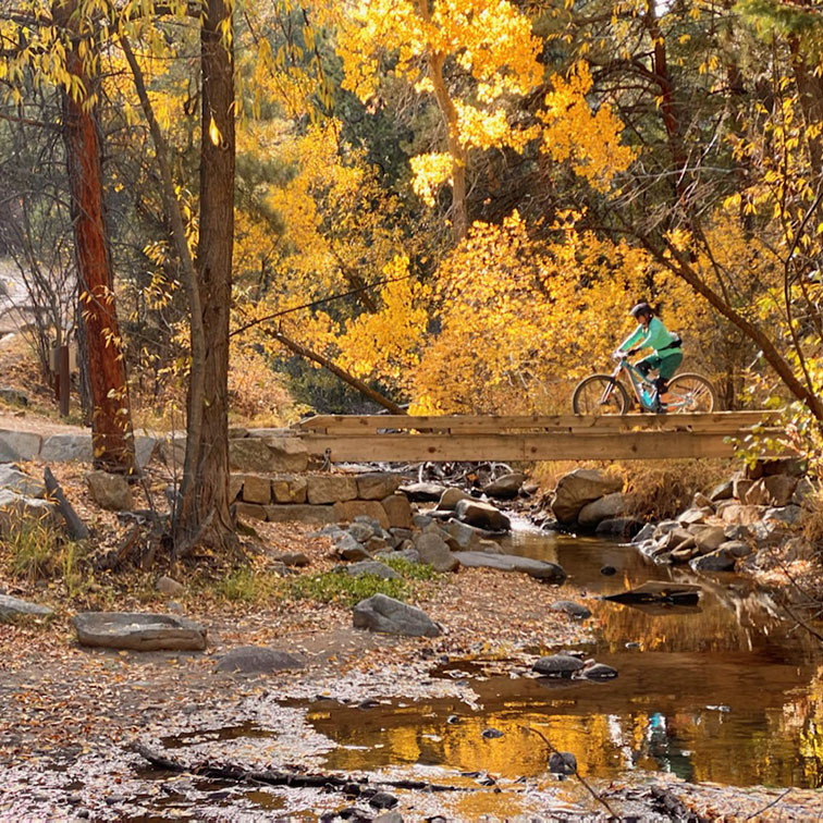 Colorado Mountain Bike Coalition
